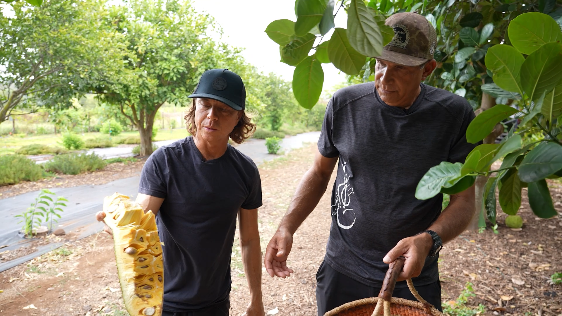 Dut's Grindz & Goodtimes: Hokuao Temple & Farm