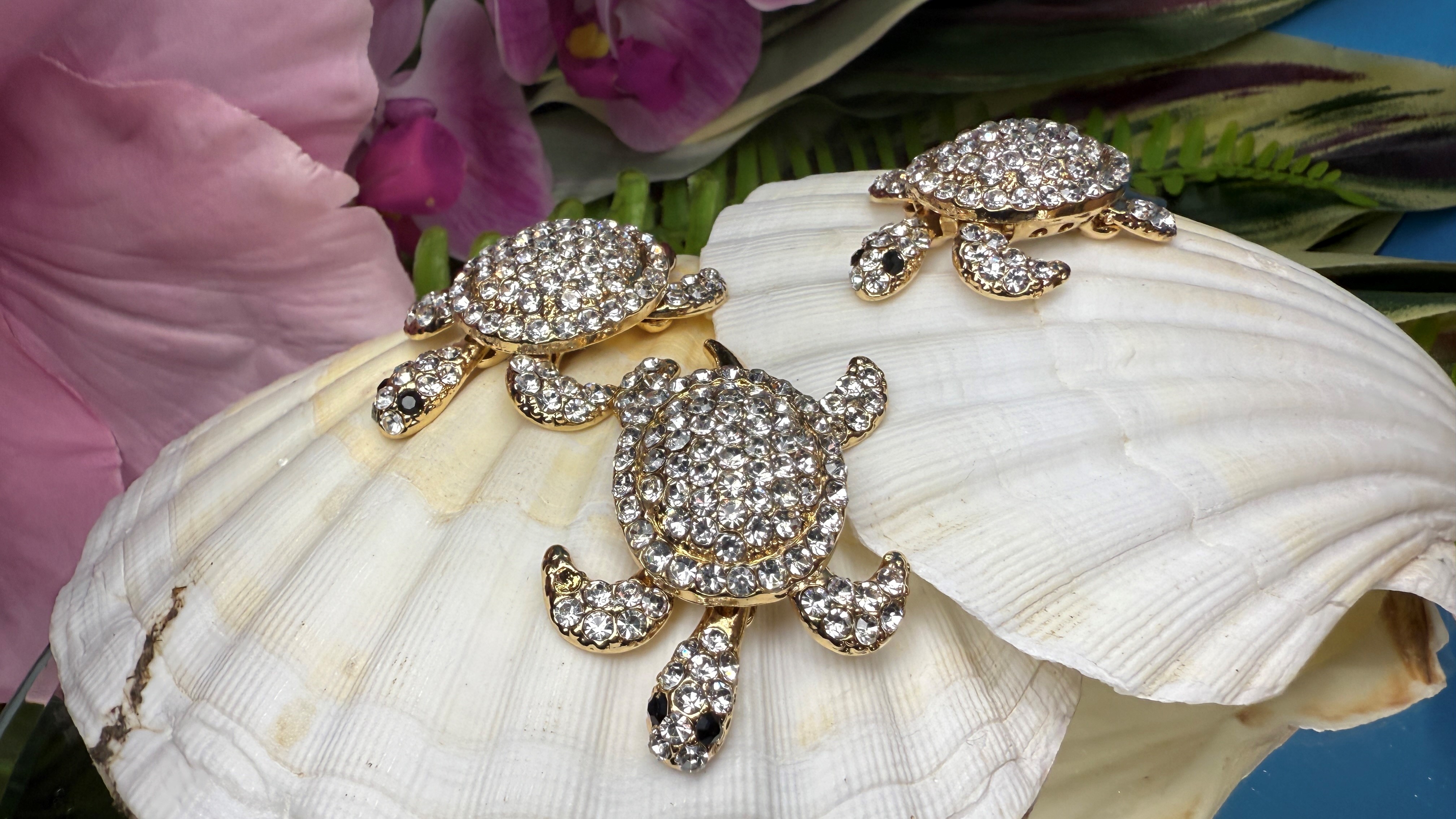 Watch Live - Spectrum Sports & Spectrum OC16